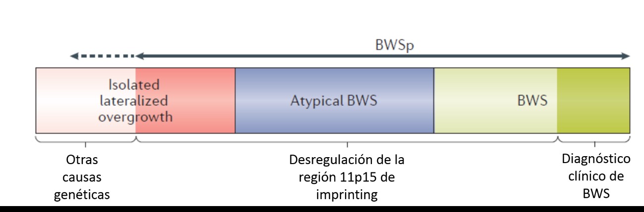 Figura 1 - El espectro de Beckwith-Wiedemann